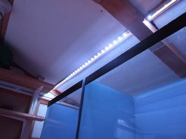 Led Fish House Lights