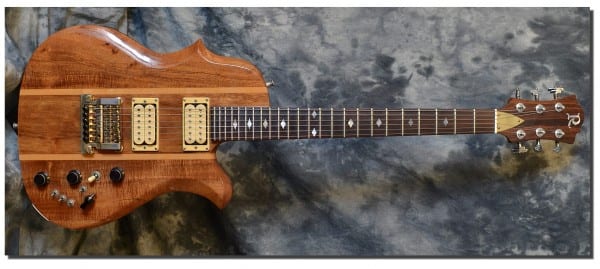 Bc Rich Seagull