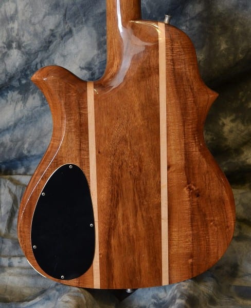 Bc Rich Seagull
