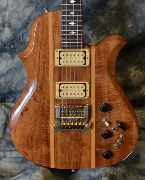 Bc Rich Seagull