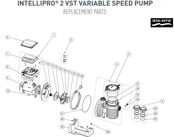 Sta Rite Pump Parts Diagram